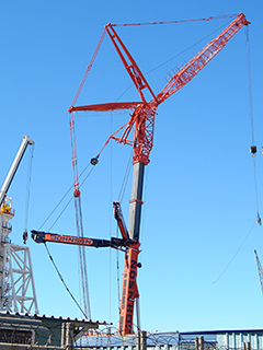 Johnson Crane Hire gets the better of a challenging heavy lift