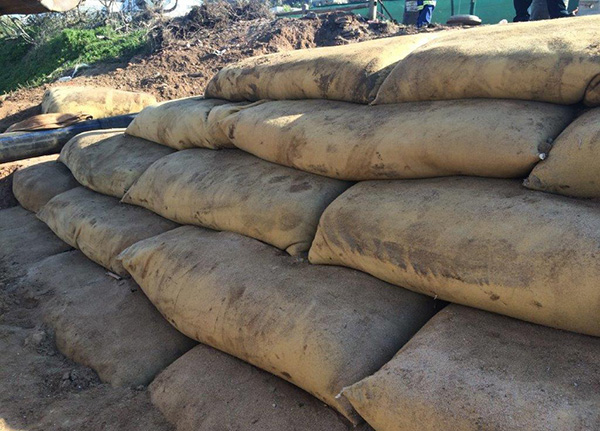 Care for our coastlines