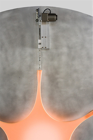 Brecht Wright Gander's Flesh Light lamp sheds light on "mechanical ...
