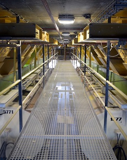 LED lighting solution for animal feed manufacturer